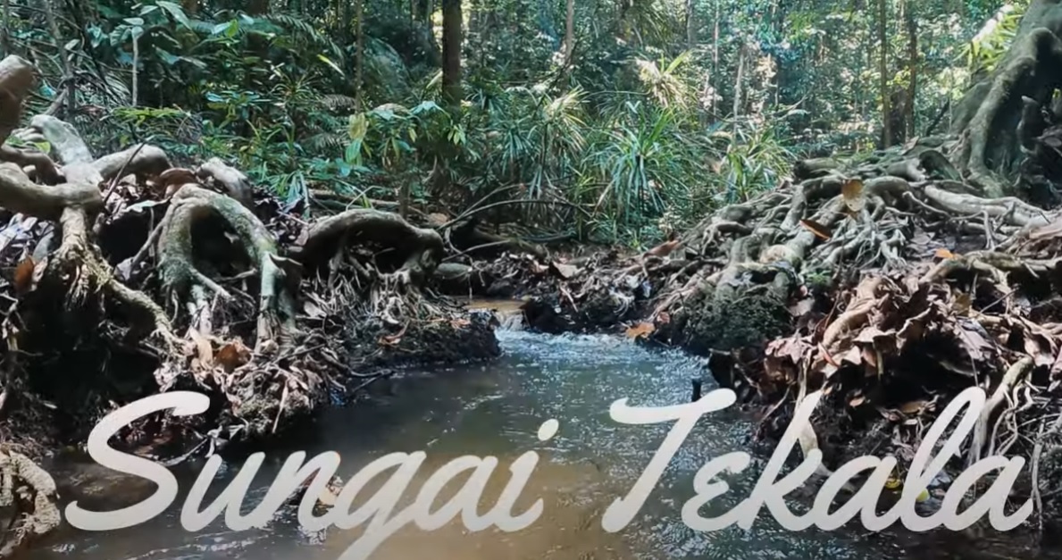 Sungai Tekala Recreational Forest - Emedia